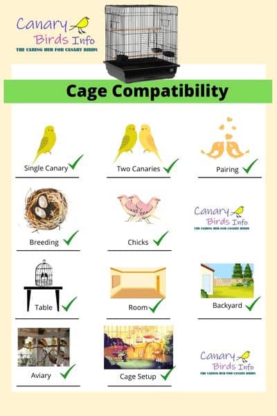 Best Cage for Canary | 5 Best Picks by Experts - Canary Birds Info